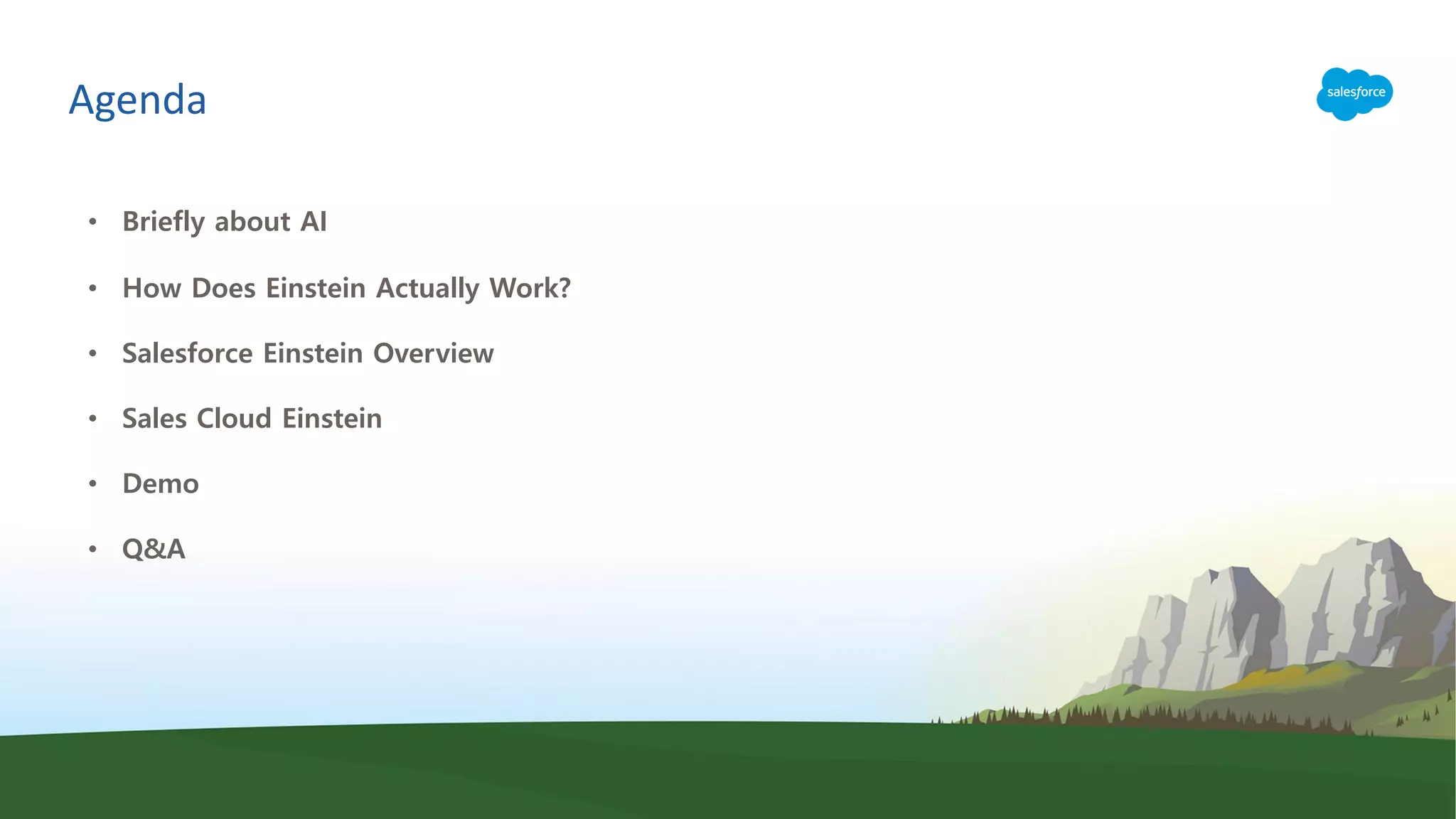 Sales Cloud Einstein | PDF