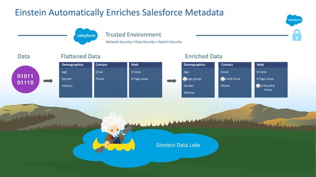 Sales Cloud Einstein | PDF | Cloud Computing | Internet