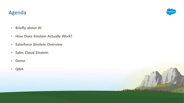 Sales Cloud Einstein | PDF | Cloud Computing | Internet