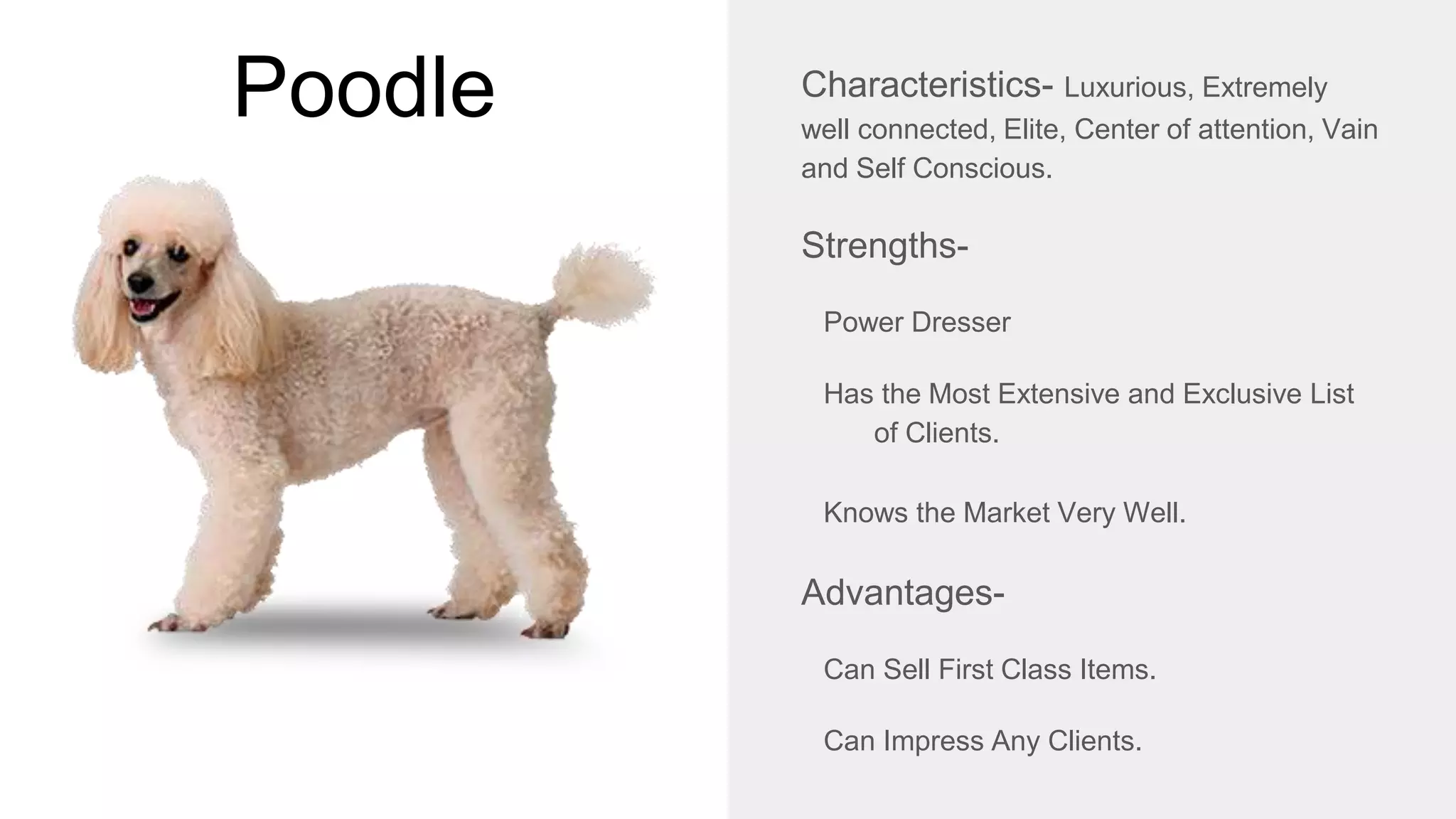 The 5 Types of Sales People and Their Dog Equivalent. | PPTX