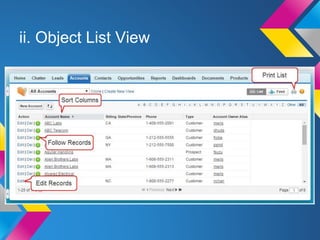Salesforce Basic Navigation | PPTX