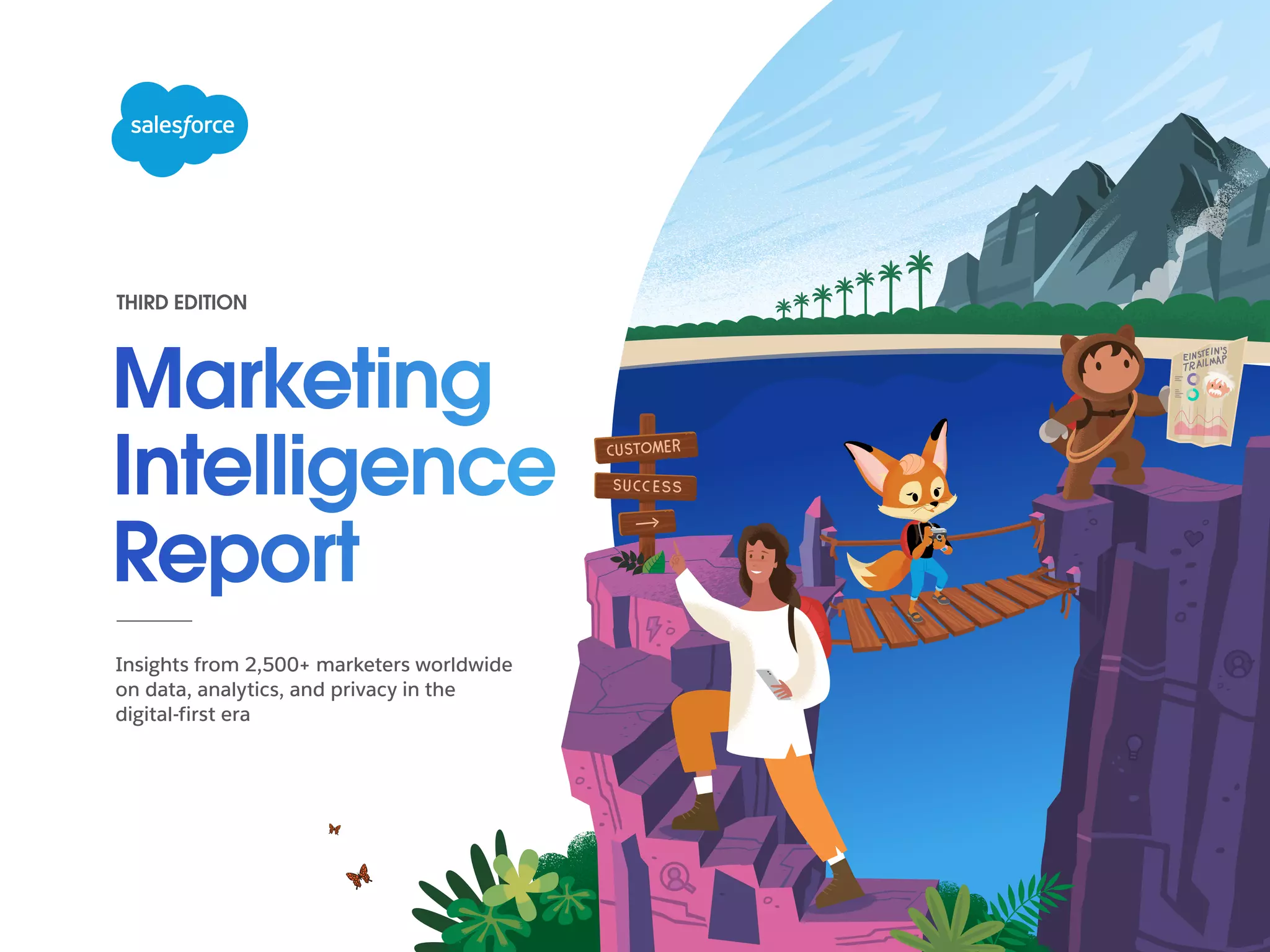 Salesforce - Marketing Intelligence Report - Third Edition | PPT