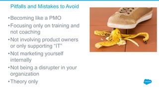 Building Your Agile Coaching Practice | PPTX