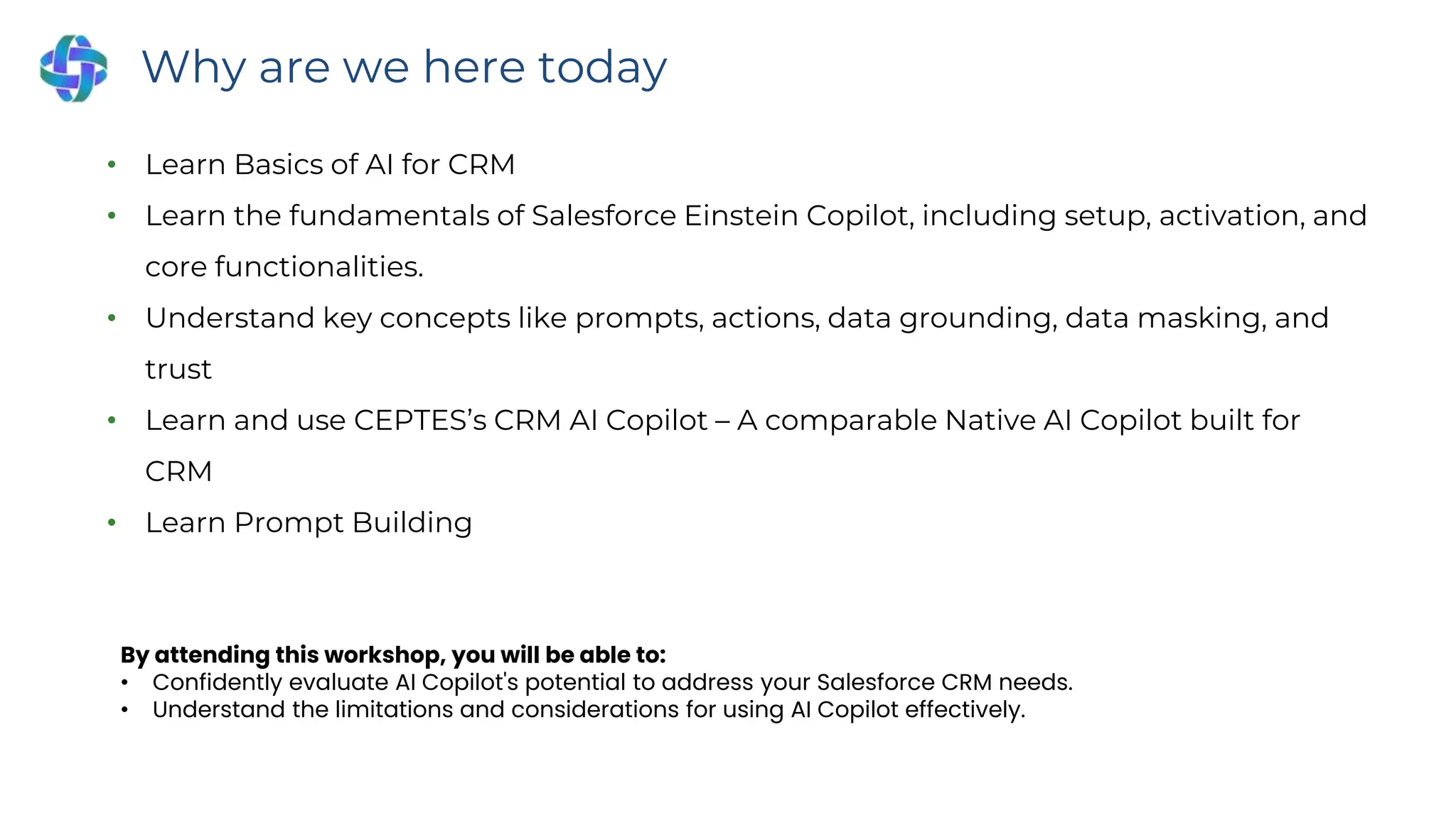 Salesforce AI & Einstein Copilot Workshop | PPTX | Computer Software and Applications | Computing