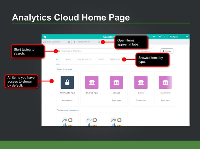 Salesforce Analytics Cloud - Explained | PDF