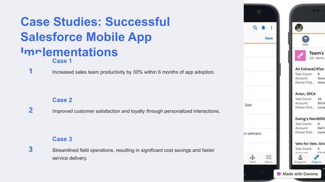 Salesforce Application Development 360 Degree Cloud Ppt