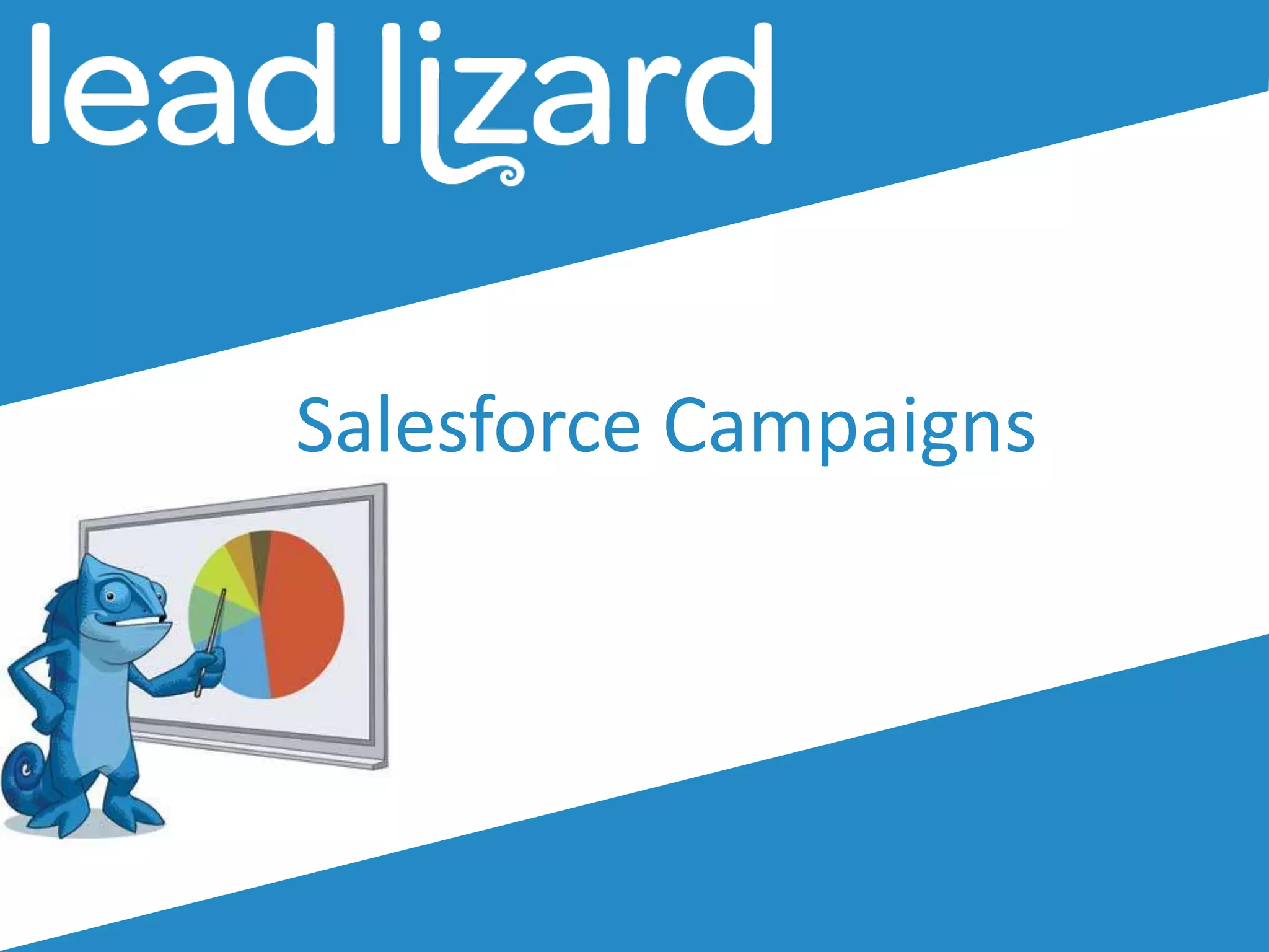 Best Practices for Salesforce Campaigns | PPTX