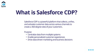 Salesforce Customer Data Platform [CDP] Implementation Services | PPTX