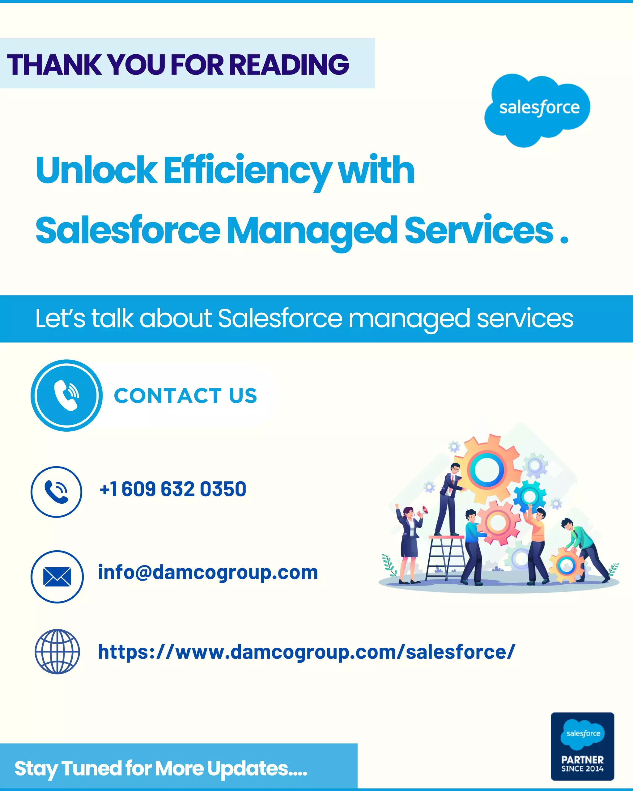 Salesforce CRM Managed Services A Beginner's Guide | PDF
