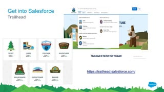 Salesforce data model | PPTX