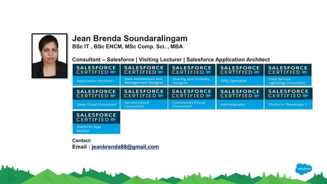 Salesforce Data Model Pptx Databases Computer Software And Applications