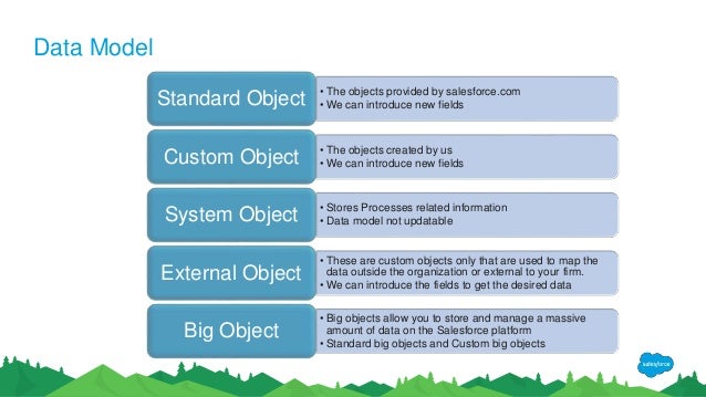 Salesforce data model