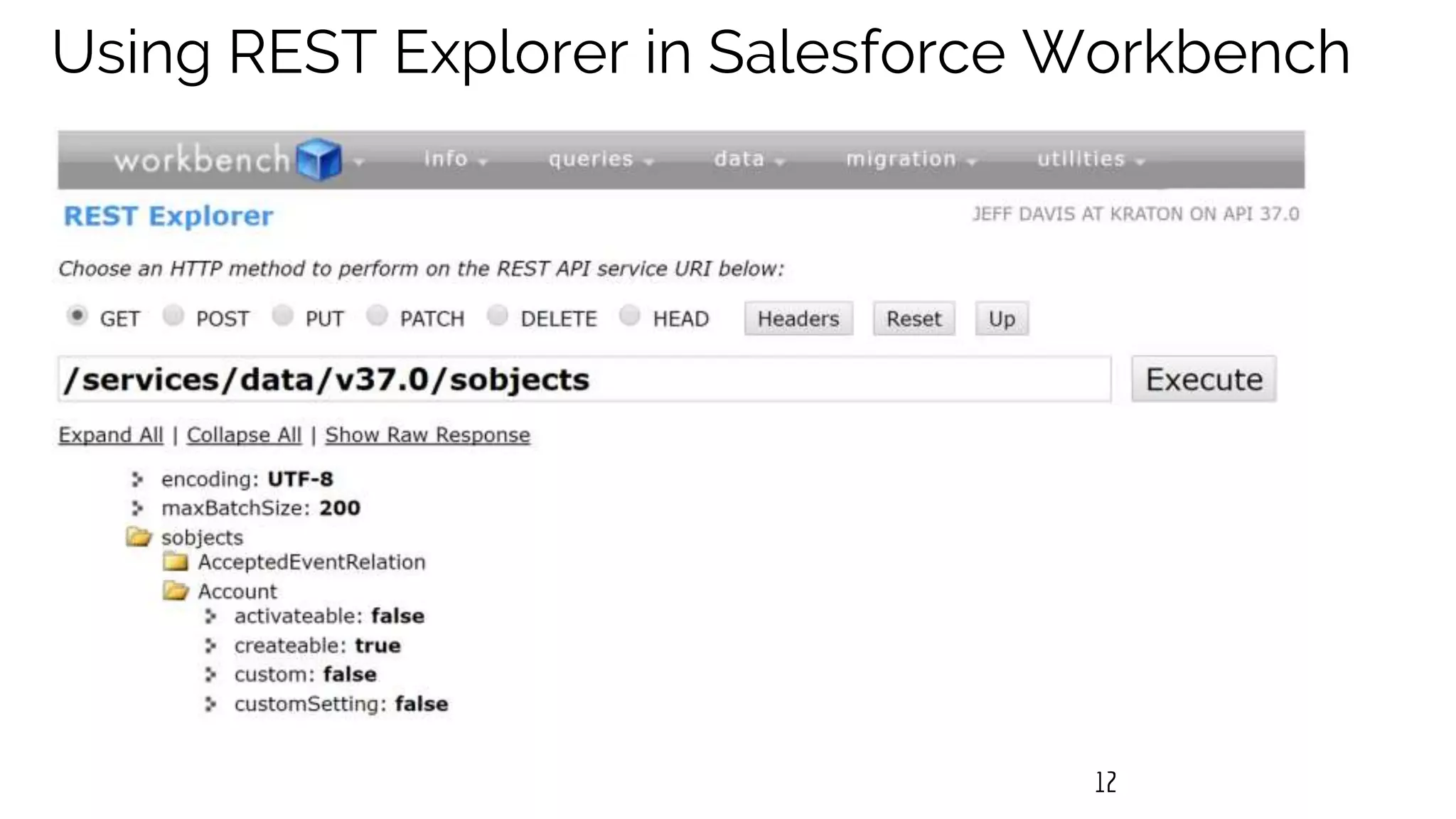Salesforce Integration Patterns Pptx