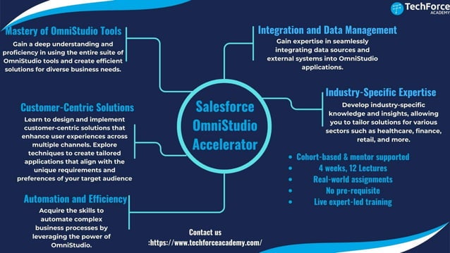 Salesforce OmniStudio Accelerator Course | PPT