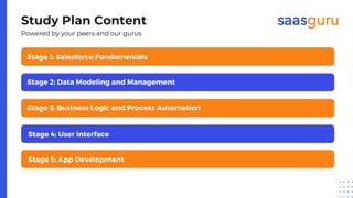 Salesforce Platform App Builder Certification Course.pdf | Computer Software and Applications ...