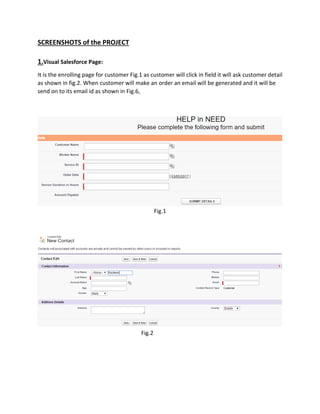 Salesforce project | PDF