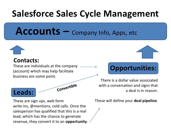 Salesforce Sales Cycle Management Framework