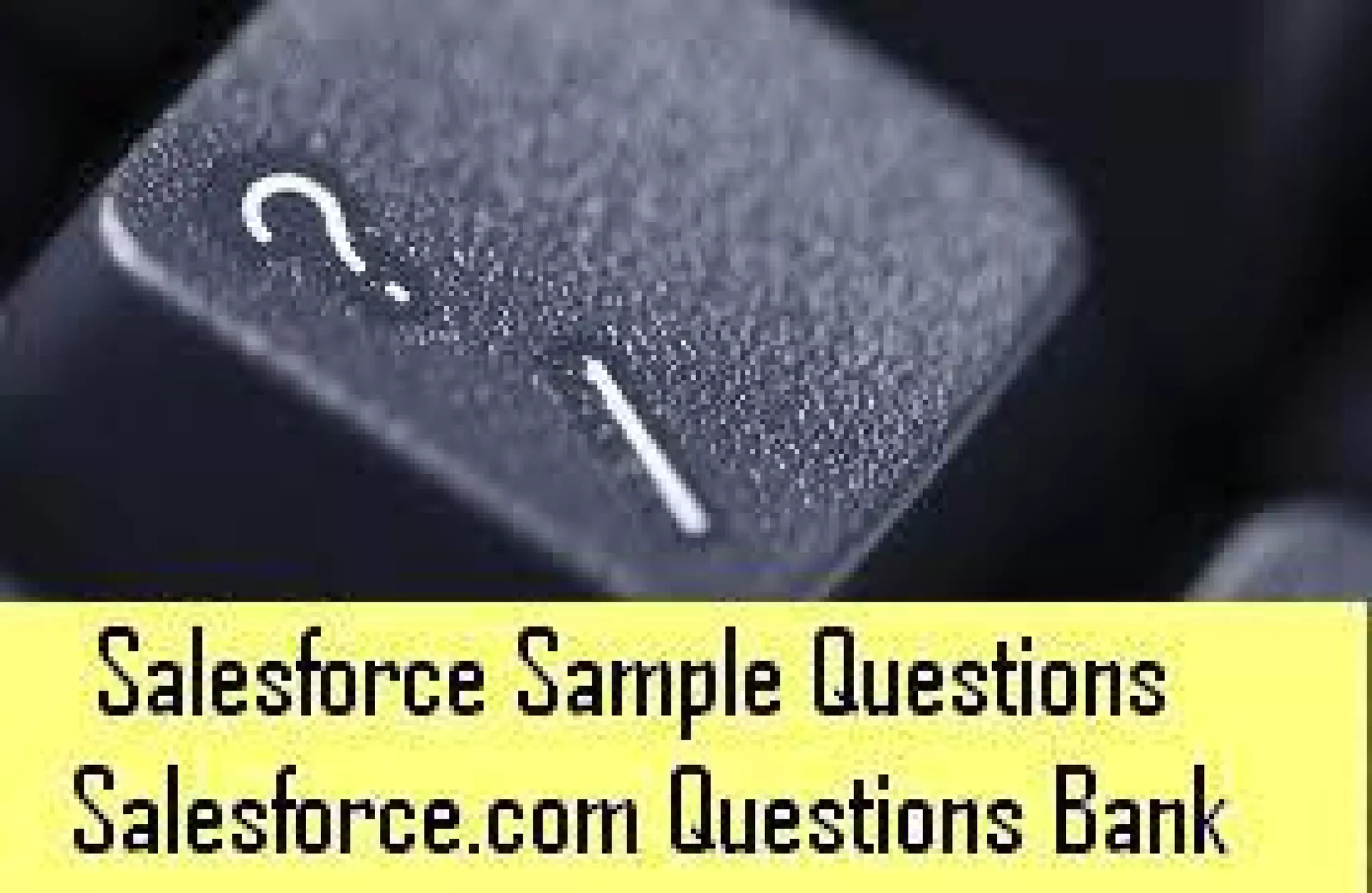 Salesforce Sample Questions | PDF
