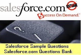 Salesforce Sample Questions | PDF