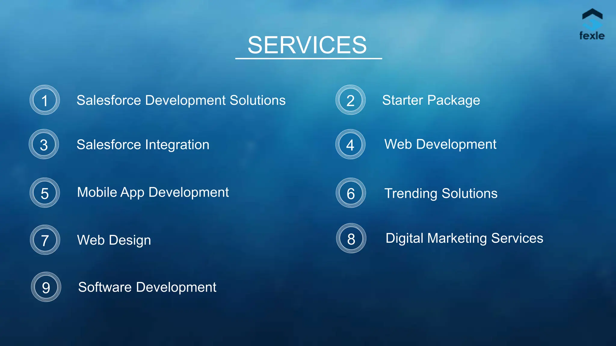 Salesforce Services Presentation by FEXLE Services | PPTX