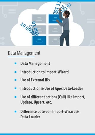 Salesforce Training Institute In Pune Syllabus | PDF