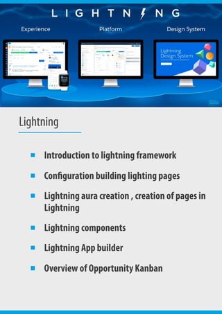 Salesforce Training Institute In Pune Syllabus | PDF