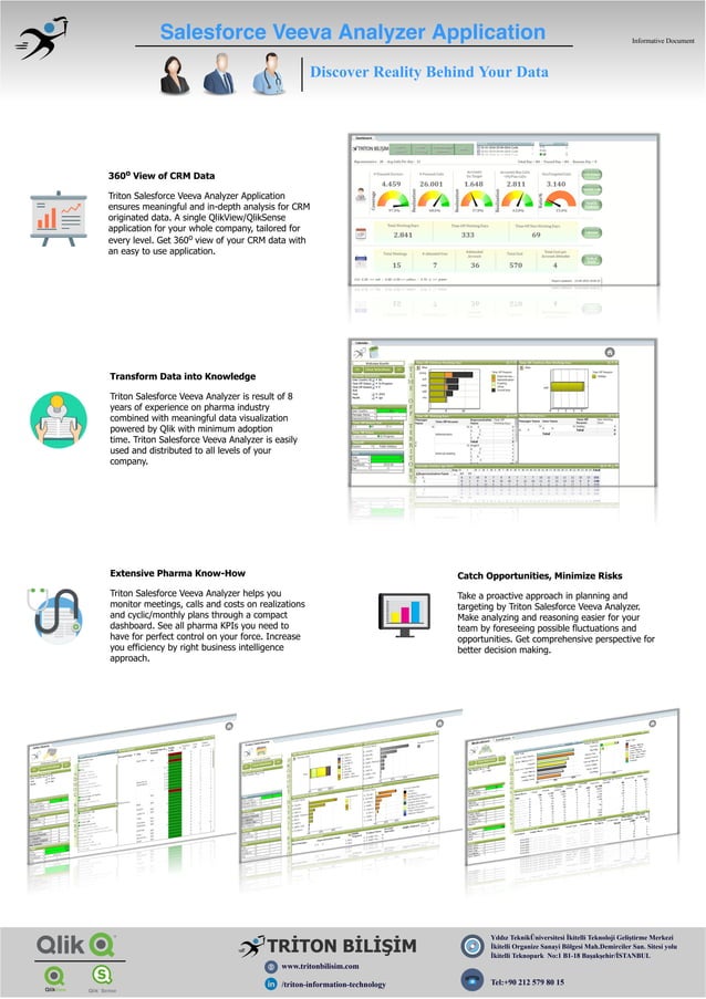 Triton's advanced and visual CRM Analysis tool | PDF