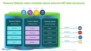 Salesforce Connect External Object Reports | PPTX
