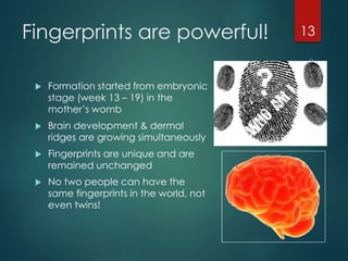 LifePrint Info | PPT
