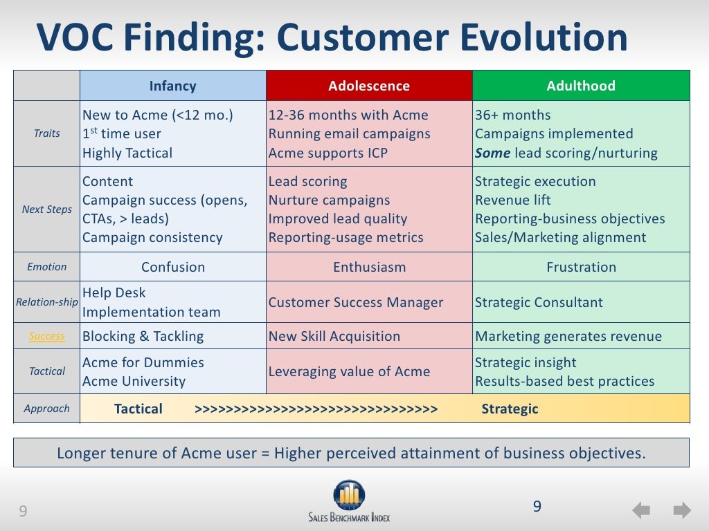 Sales Management - Capturing Voice of the Customer