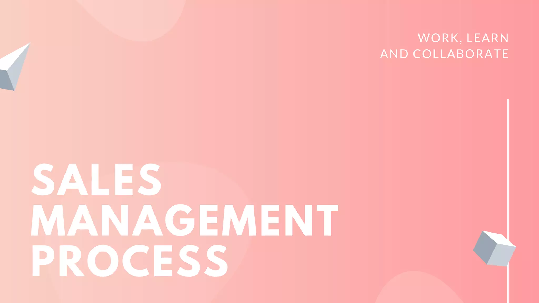 Sales Management Process | PPT