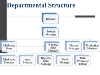 Internal Control on Sales | PPT
