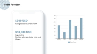 Monthly Sales Report Presentation Template | PDF