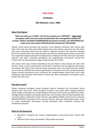 Sales script moduls | PDF