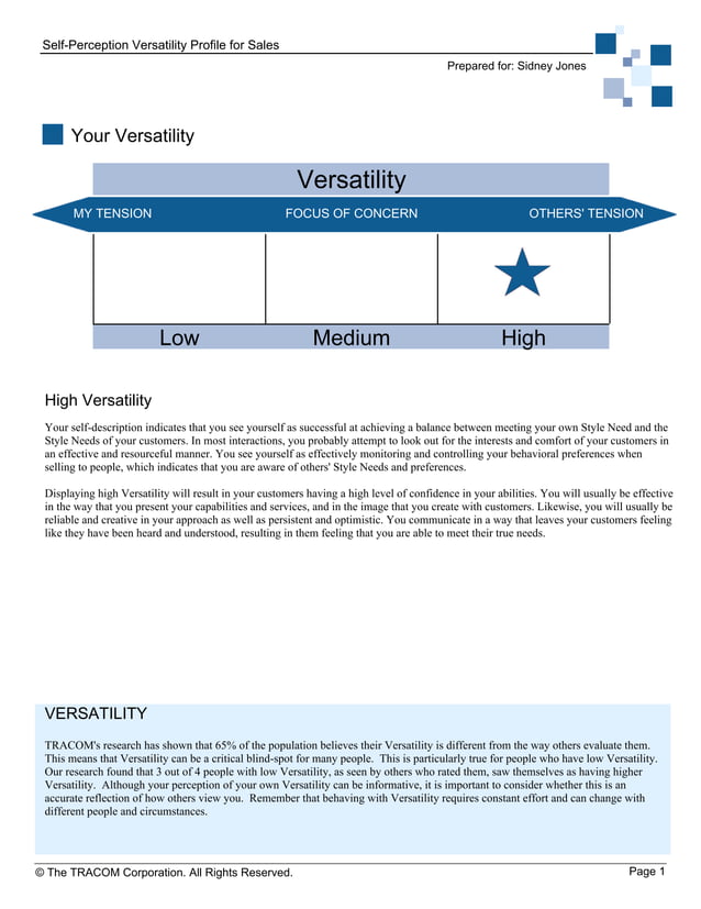 Sales self perception social style & versatility profile | PDF