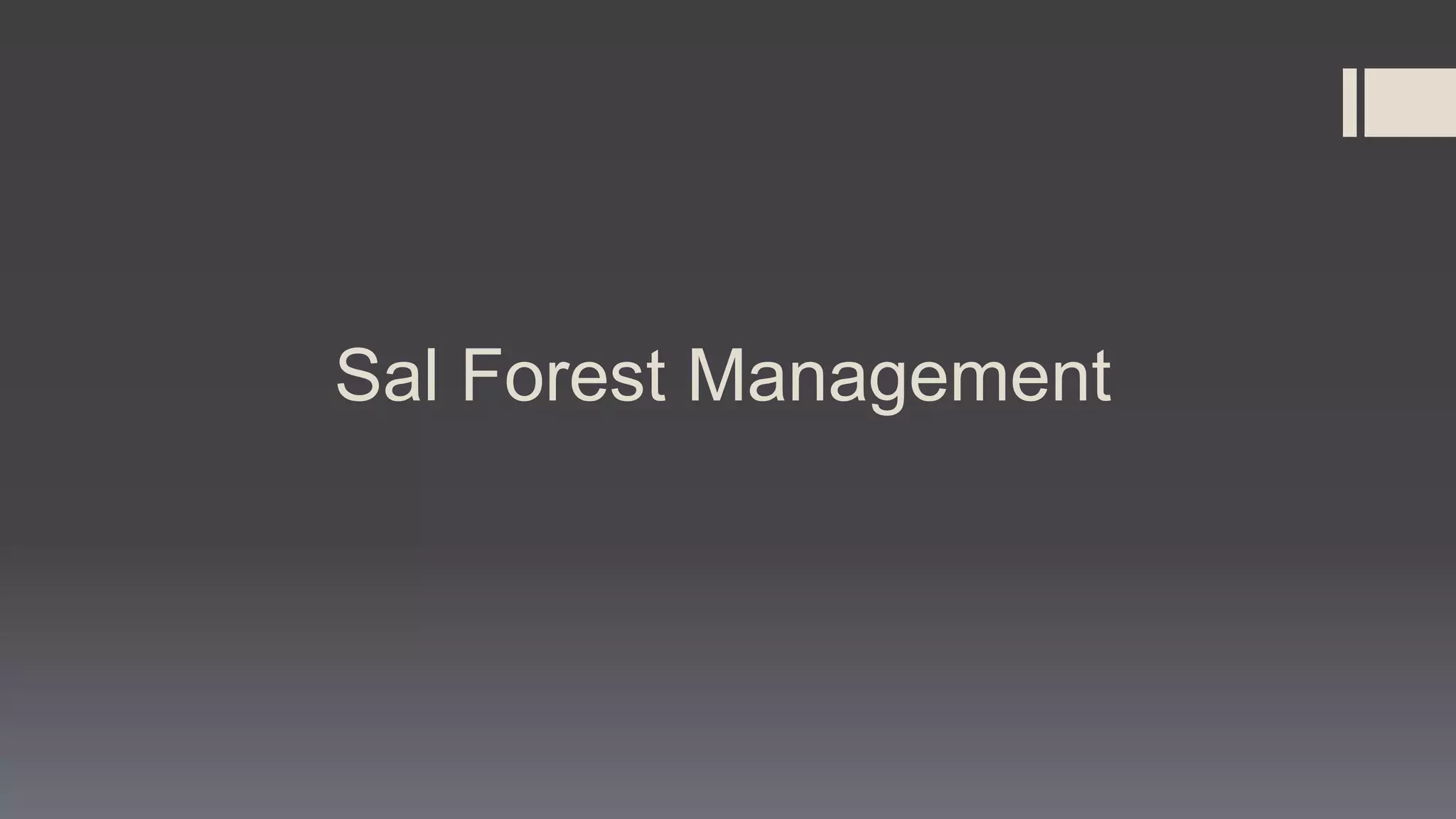 Sal forest management | PPTX