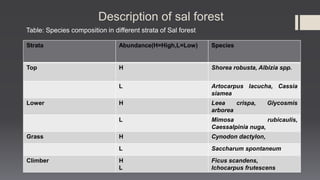 Sal forest management | PPTX