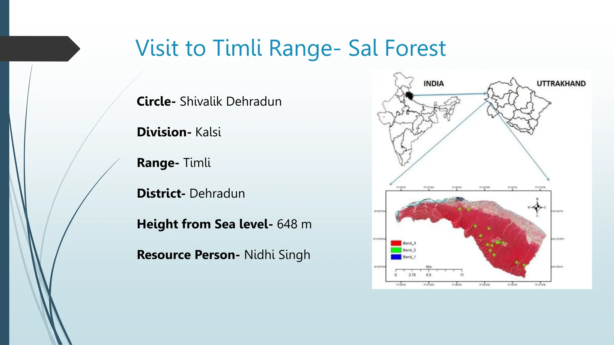 Sal Heartwood Borer and its management in the forest stand | PPTX