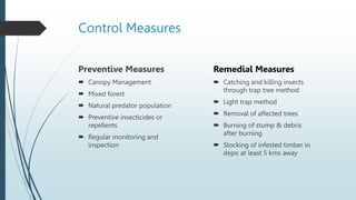 Sal Heartwood Borer and its management in the forest stand | PPTX