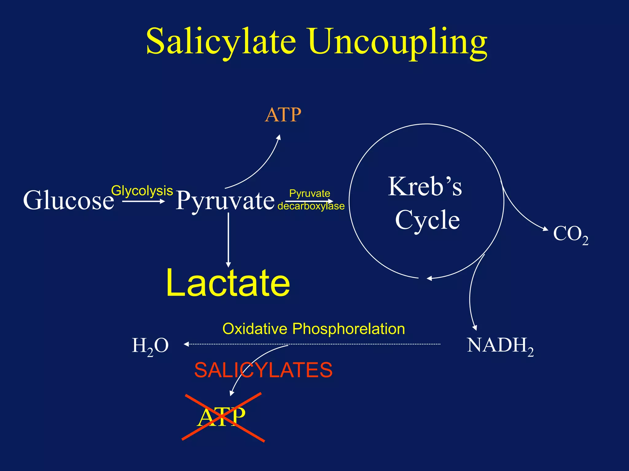 Salicylate poisoning | PPTX