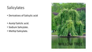 Salicylate poisoning | PPTX