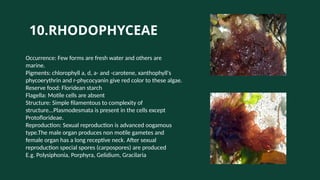 SALIENT FEATURES OF ALGAE AND FRITSCH CLASSIFICATION.pptx