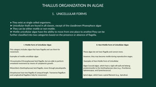 SALIENT FEATURES OF ALGAE AND FRITSCH CLASSIFICATION.pptx