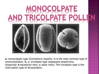 Salient features of flowering plants | PPT