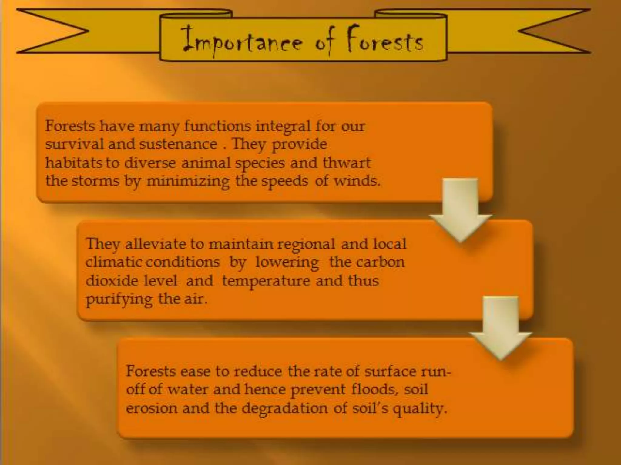Importance of Forests, Functions of Forests, Deforestation, Sustainable ...