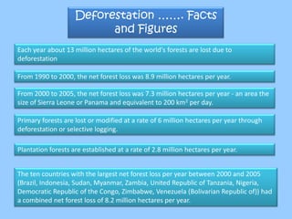 Importance of Forests, Functions of Forests, Deforestation, Sustainable ...