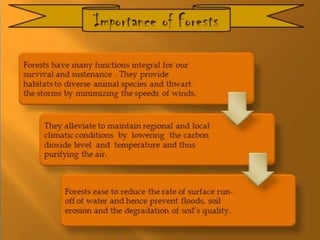 Importance of Forests, Functions of Forests, Deforestation, Sustainable ...