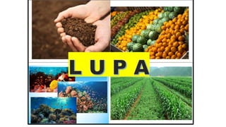 IBA'T-IBANG SALIK NG PRODUKSYON at KAHALAGAHAN NITO | PPT