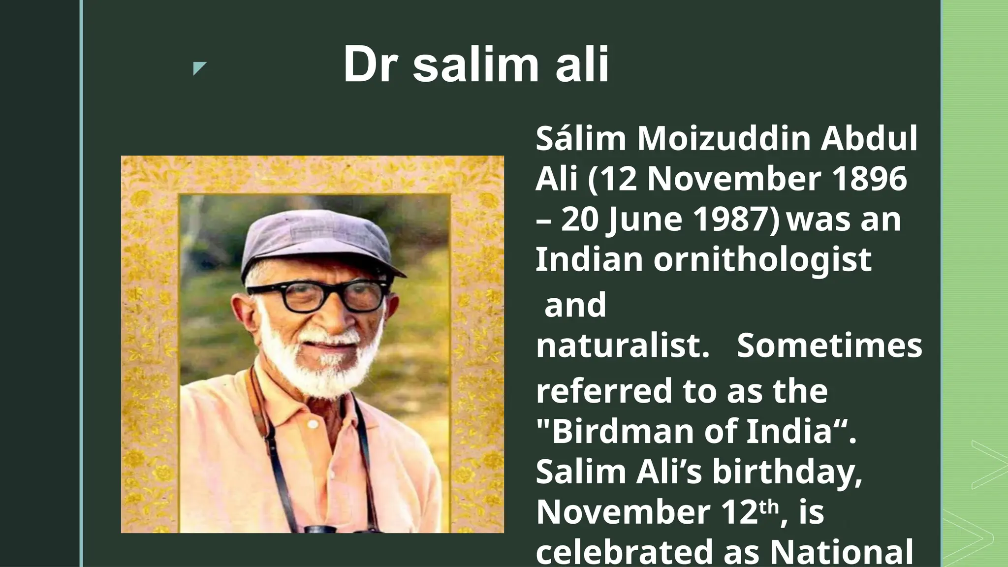 salim ali ppt power point presentation.pptx