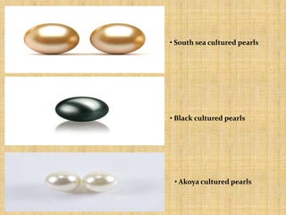 Culture of pearl oyster | PPTX